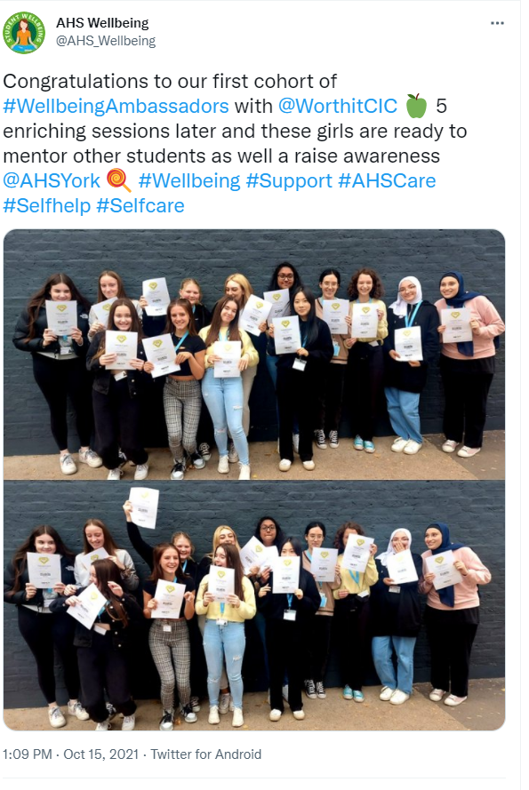 Wellbeing Ambassadors - Peer mentoring support programme